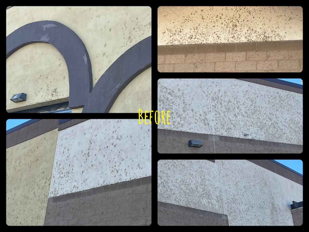 Commercial Building Soft Wash